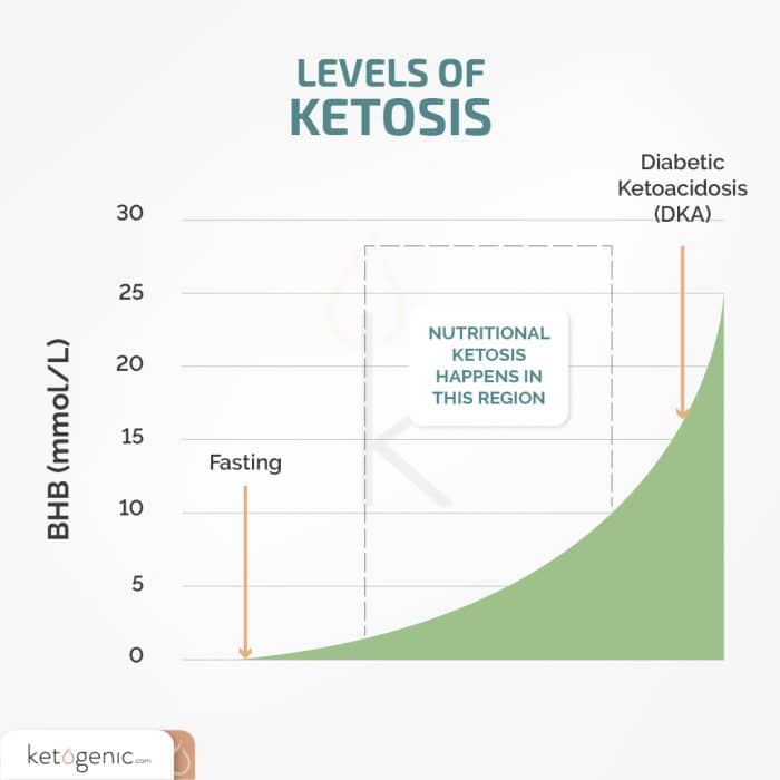 Are There Different Types of Ketosis? - Keto Science