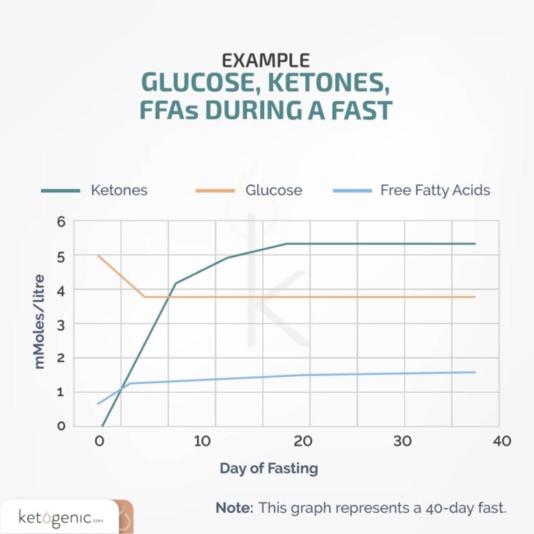 Keto Diet for Beginners | Ultimate Beginner Keto Guide