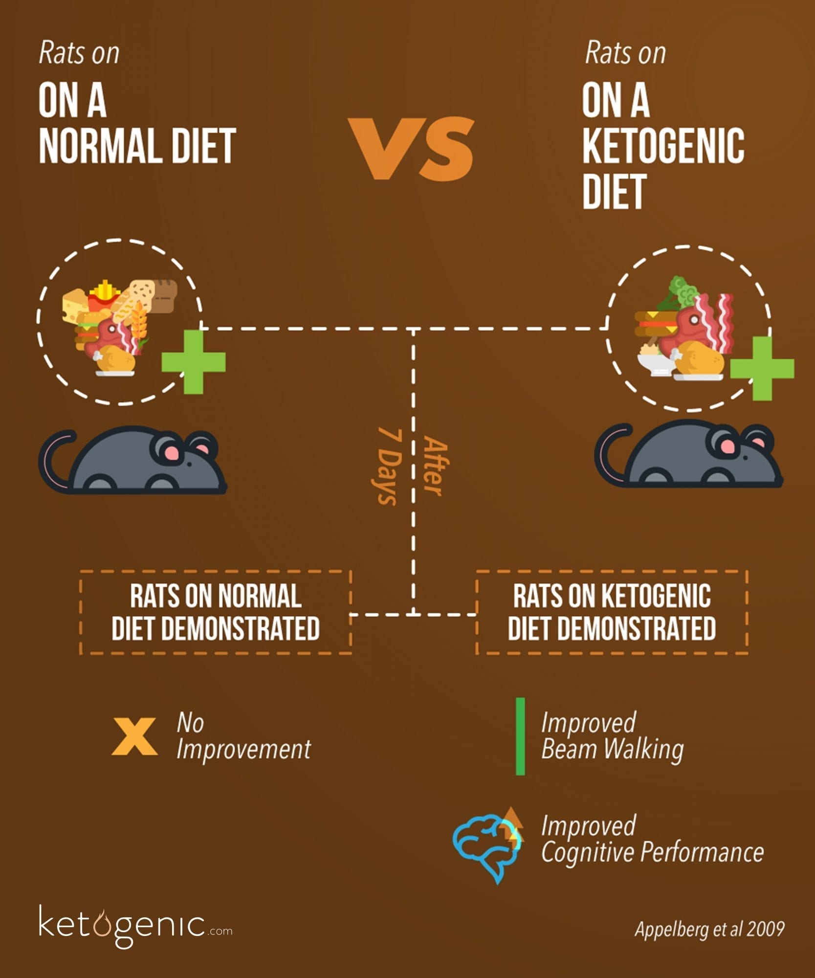 Ketones and Brain Injury: How Ketosis Can Protect Against Traumatic ...