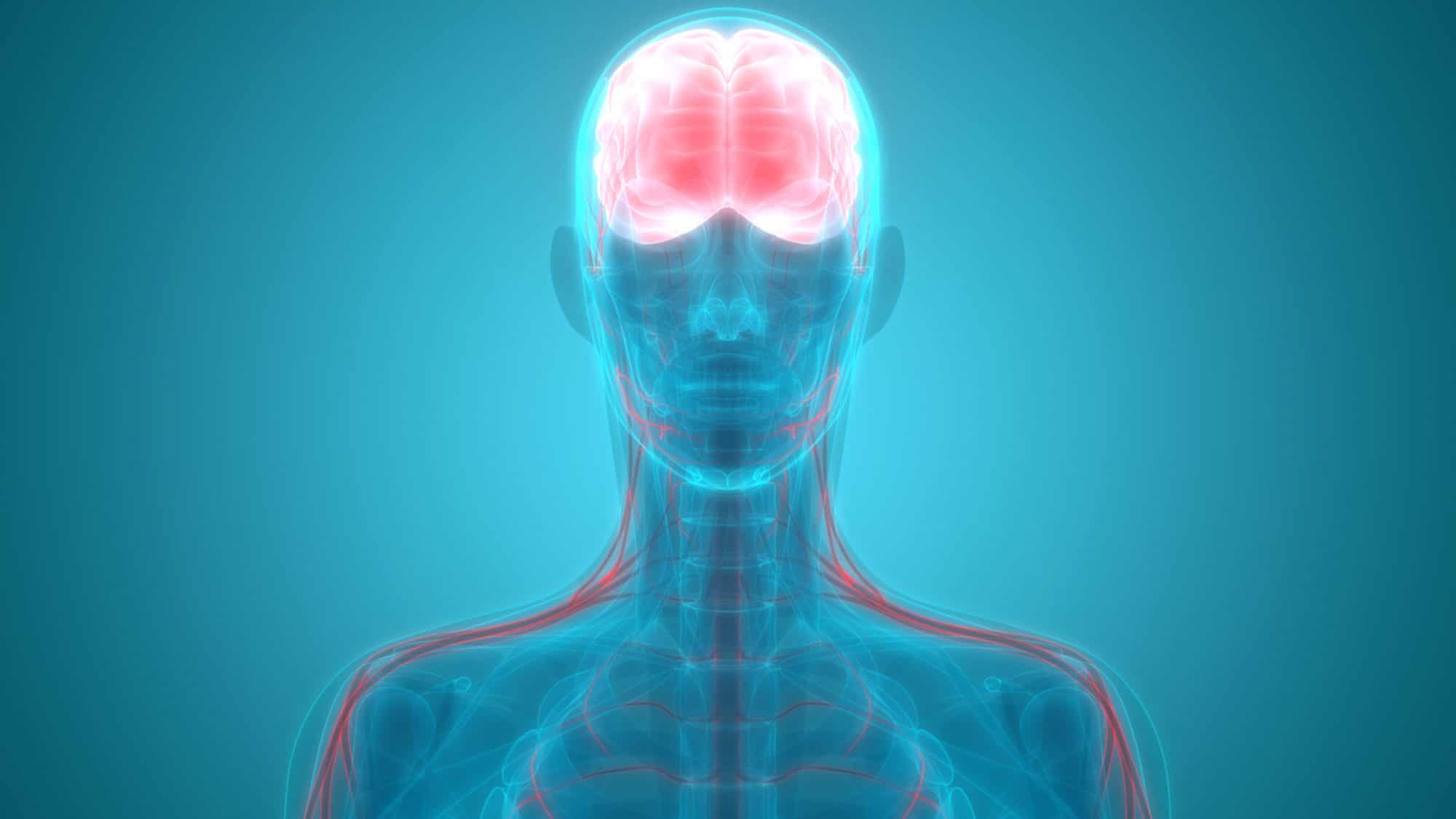 Your Brain on Ketones - Keto Therapeutics