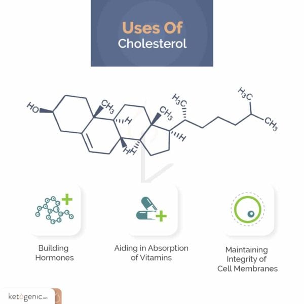Does Keto Impact Cholesterol: What Effect Can a Ketogenic Diet Have ...