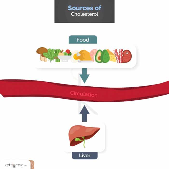 Does Keto Impact Cholesterol: What Effect Can a Ketogenic Diet Have ...