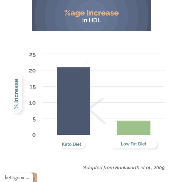 Keto and HDL Cholesterol Levels - Keto Science