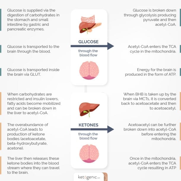 Chasing Mental Clarity: How to Improve Focus and Cognition - Keto Science