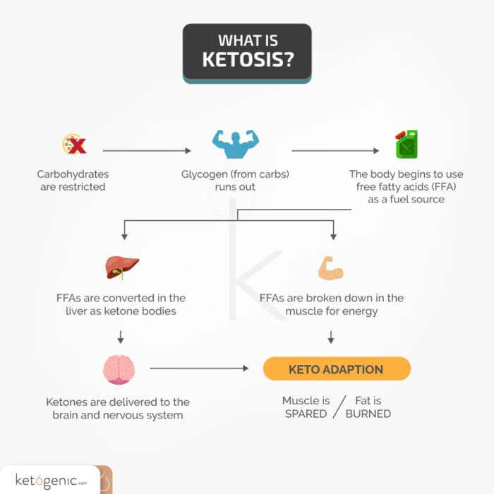 Ketosis: What Is It And How Do You Achieve It? - Keto
