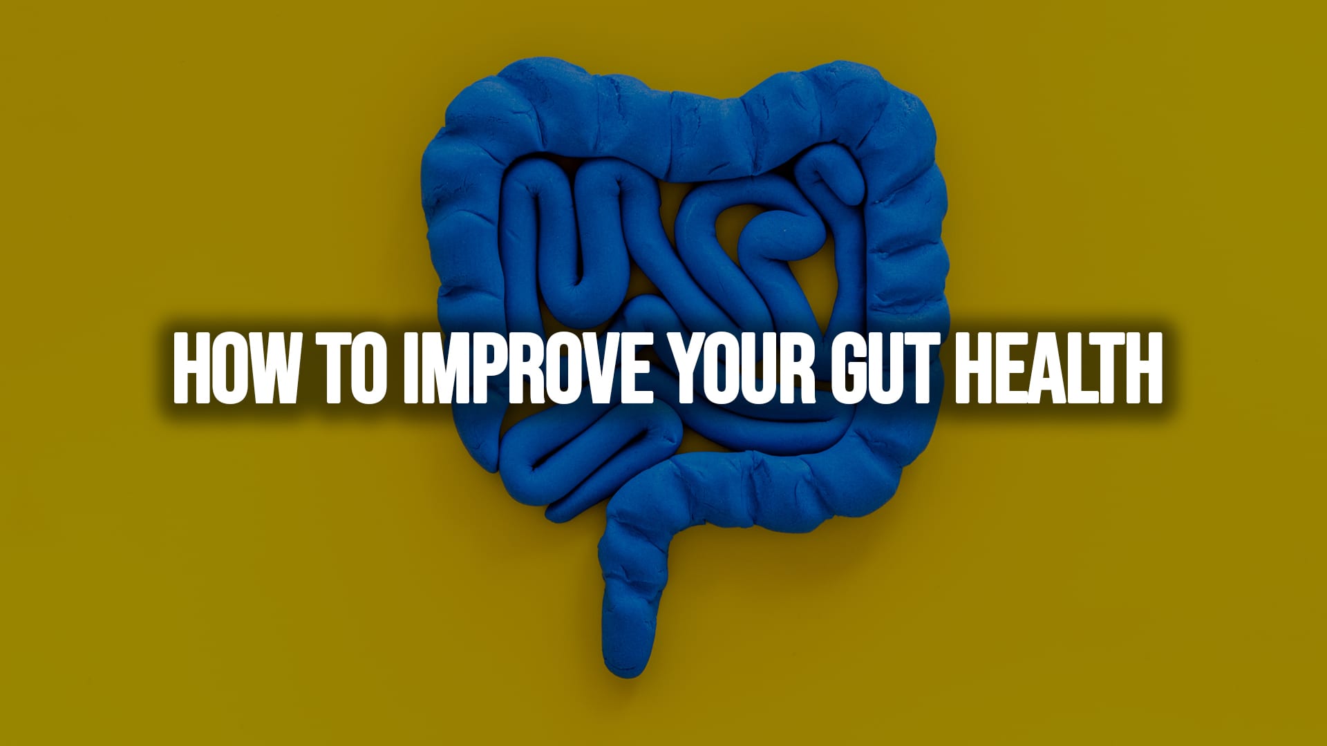 How To Improve Your Gut Health On Keto Keto