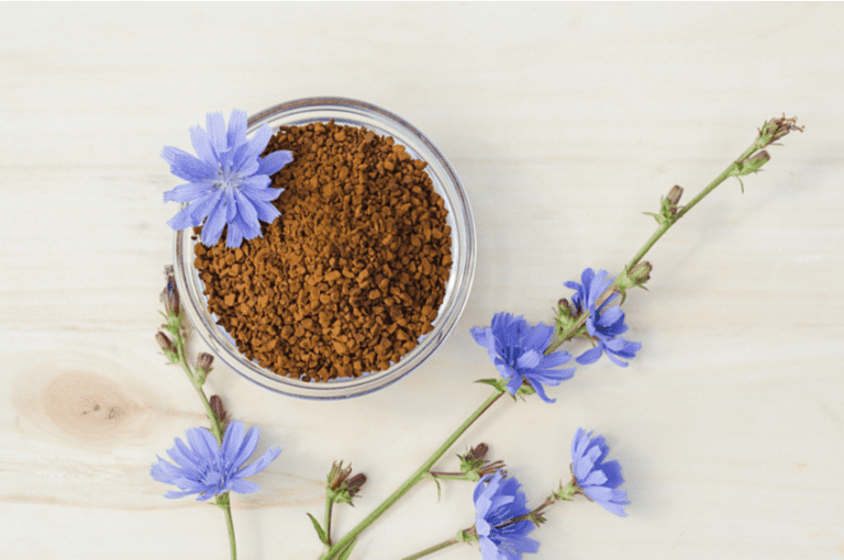 9 Health Benefits of Chicory Root - Keto