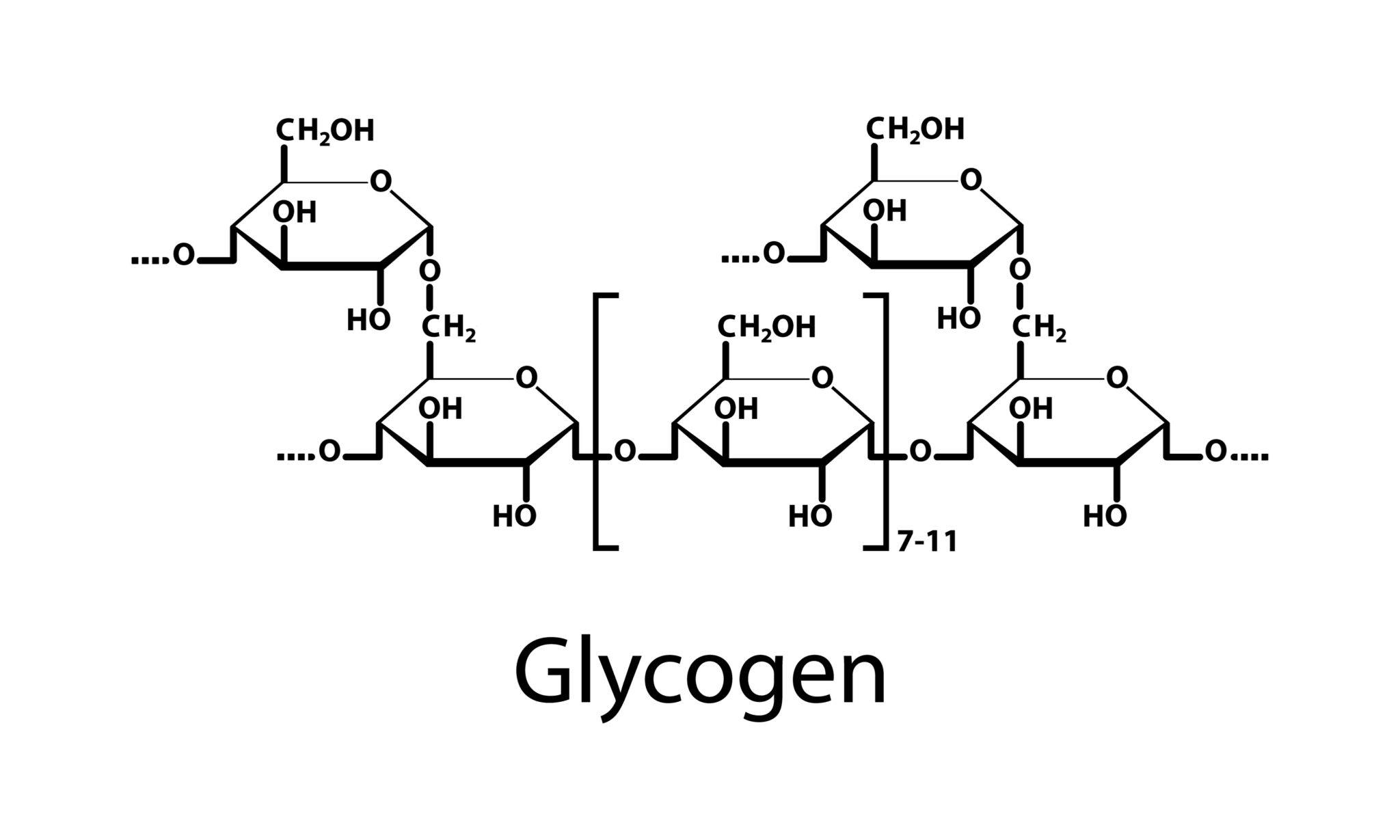 The Ketogenic Diet: Everything You Need to Know to Get Started - Keto ...